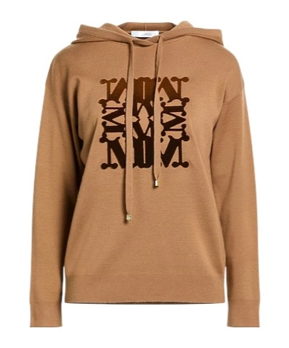 Max Mara Wool Hooded Knit Sweater With Flocked Logo