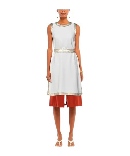 Max Mara Color-block Sleeveless Dress With Detachable Belt