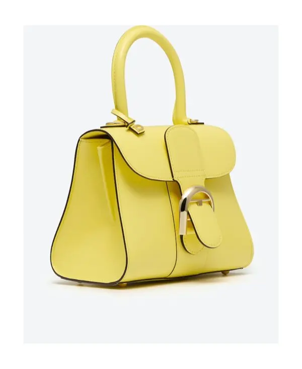 Delvaux Brillant Mini Tote Bag