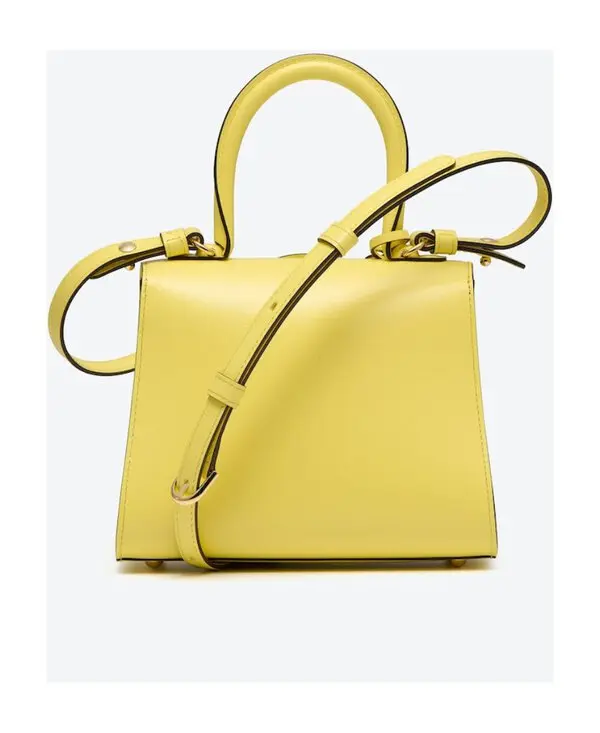 Delvaux Brillant Mini Tote Bag