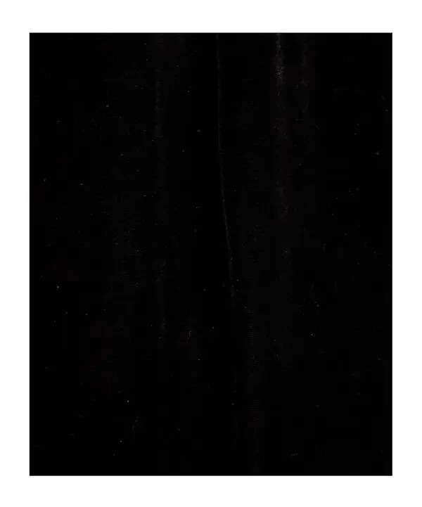 Max Mara Velvet Long Sleeve Gown