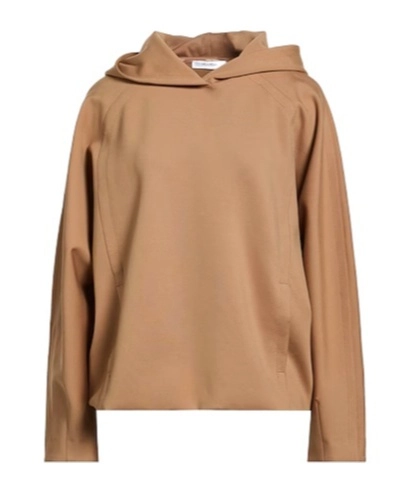 Max Mara Hooded Sweatshirt In Stretch Jersey