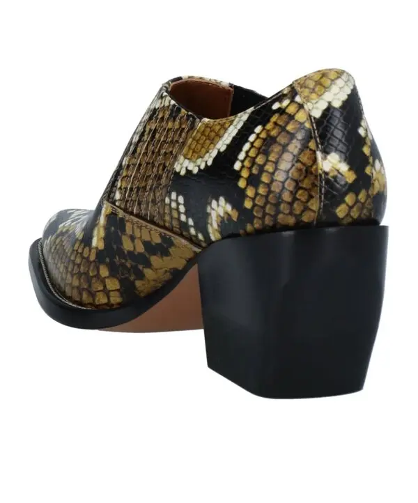 Chloé Pointed-toe Multicolor Ankle Boots