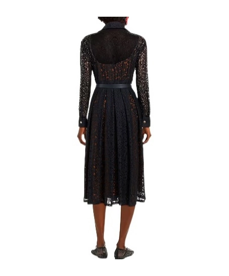 Max Mara Color-blocked Lace Shirt Dress