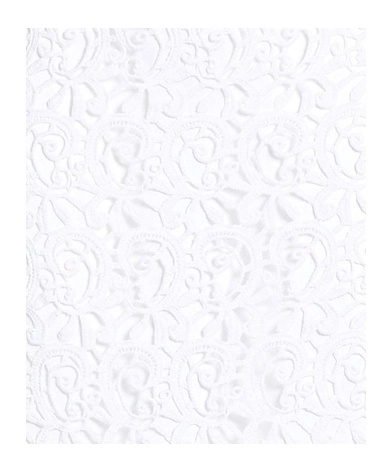 Burberry Minimalist Lace Bodycon Skirt