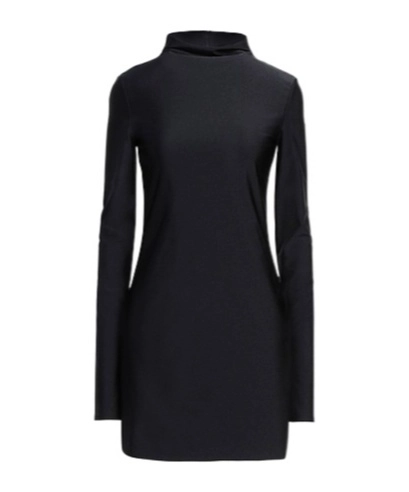 Sportmax Sheath Dress With Turtleneck And Long Sleeves
