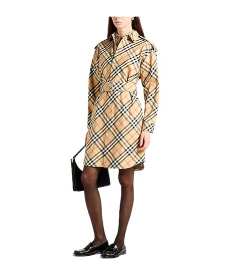 Burberry Printed Shirt Dress