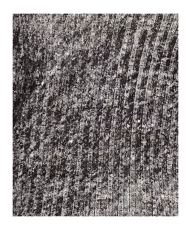 DIESEL® Lightweight Two-tone Knit Sweater