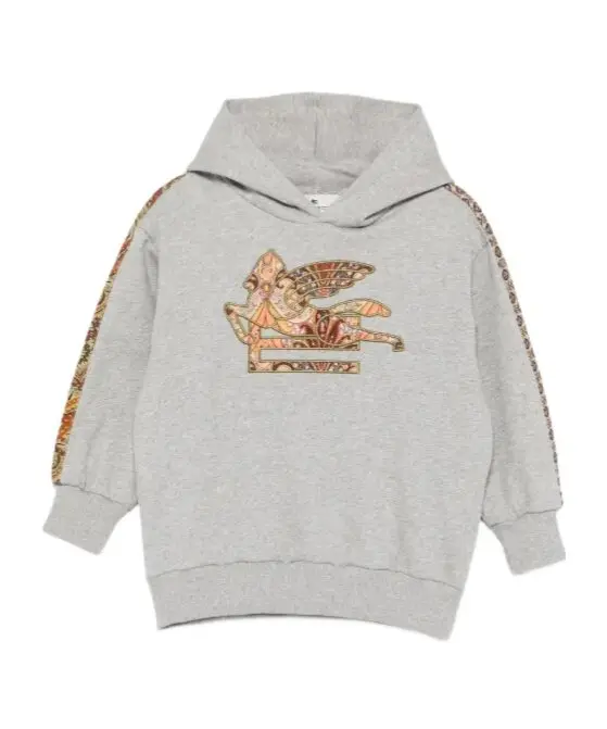 Etro Paisley Logo Hoodie