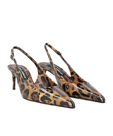 Dolce & Gabbana Leopardprint Pointedtoe Stilettoheel Highheels