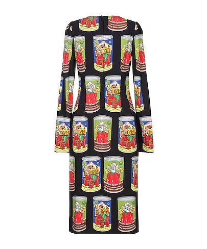 Dolce & Gabbana Multi-color Fitted Dress