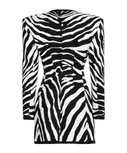 Dolce & Gabbana Zebraprint Jacket