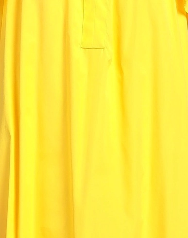 Max Mara Poplin Dress With Appliqués And Ruffles