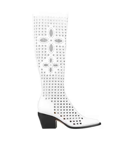 Chloé Leather Pointed Toe Boots