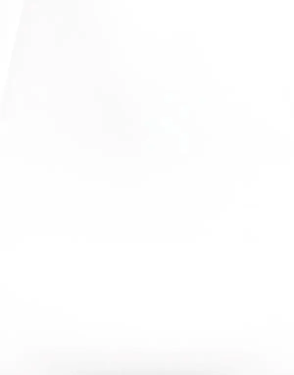 Sportmax Solid Color Shorts