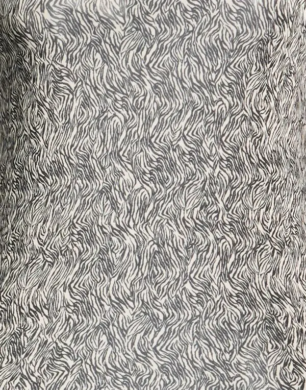 Isabel Marant Étoile Zebra Print Long-sleeve Turtleneck Tee