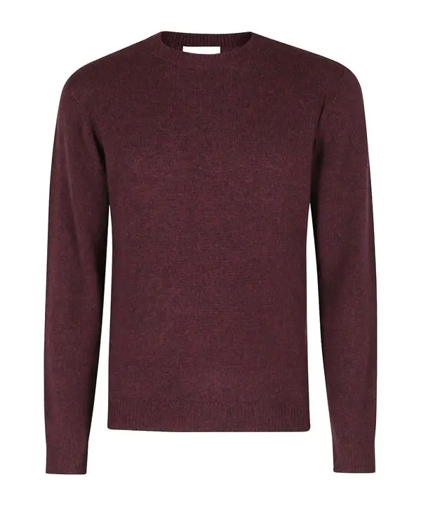 ROBERTO COLLINA Crew Neck Sweater With Long Sleeves And Ribbed Trim