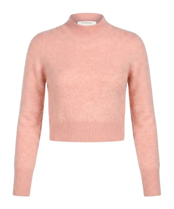 Sportmax Solid Color Knit Turtleneck Sweater With Appliqués