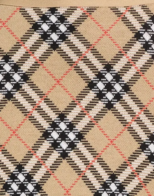 Burberry Mini Skirt