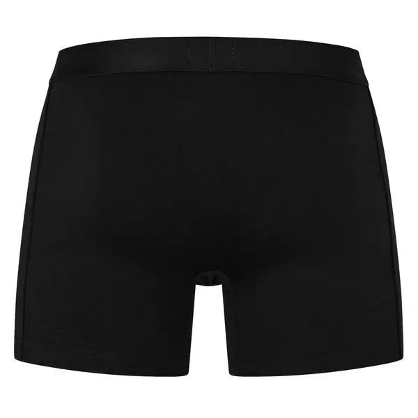 Hugo Boss Boxer Briefs