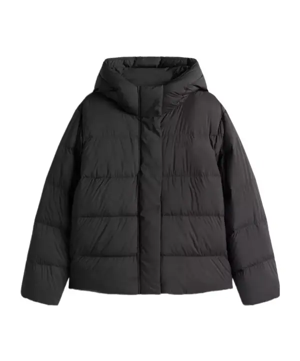 Tommy Hilfiger Shorts Down Puffer Jacket