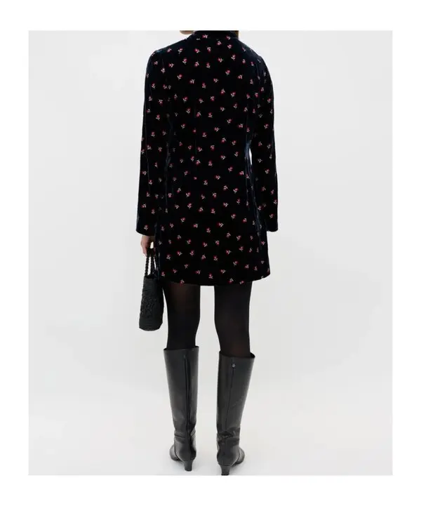 Rixo Calla Mini Dress With High Neck And Long Sleeves