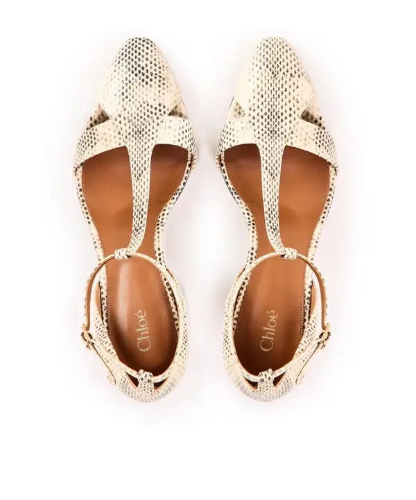 Chloé Pumps With Stiletto Heel