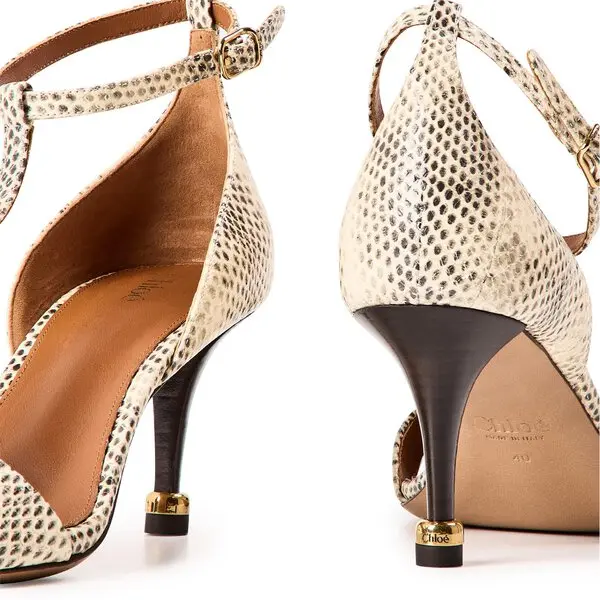 Chloé Pumps With Stiletto Heel