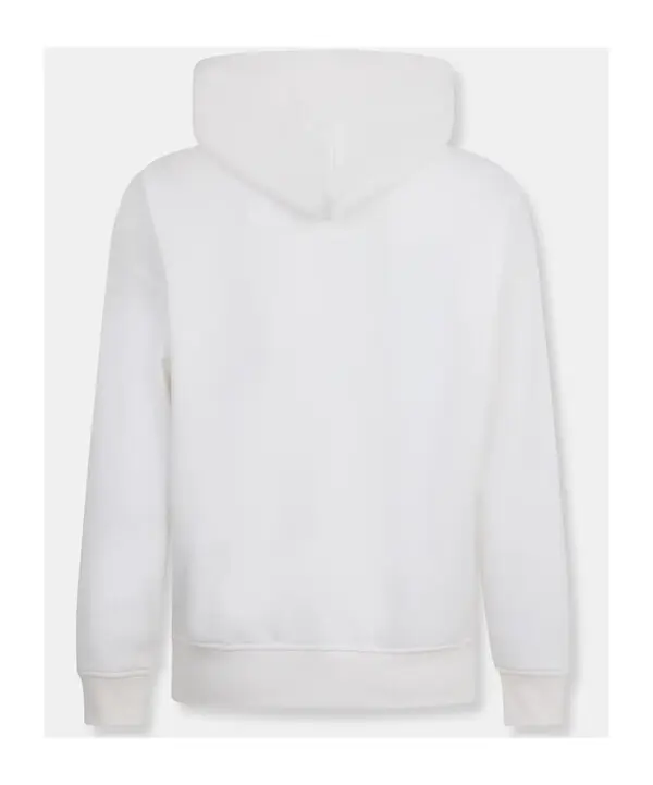 Polo Ralph Lauren Logo Hoodie - Multicolor