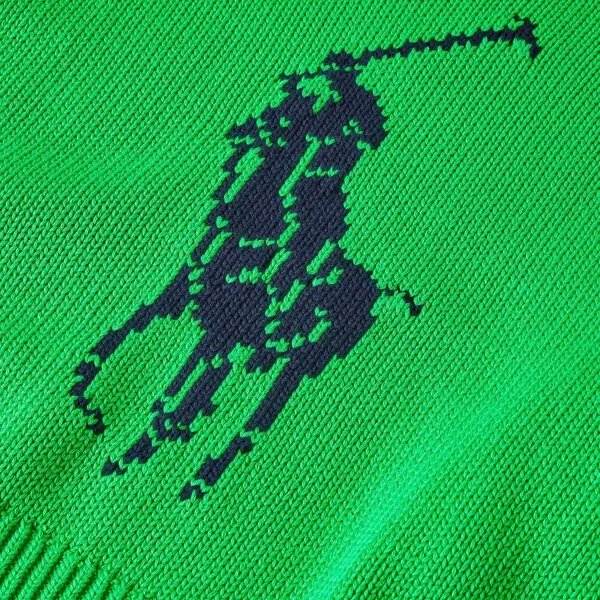 Polo Ralph Lauren Crew Neck Jumper With Graphic Print
