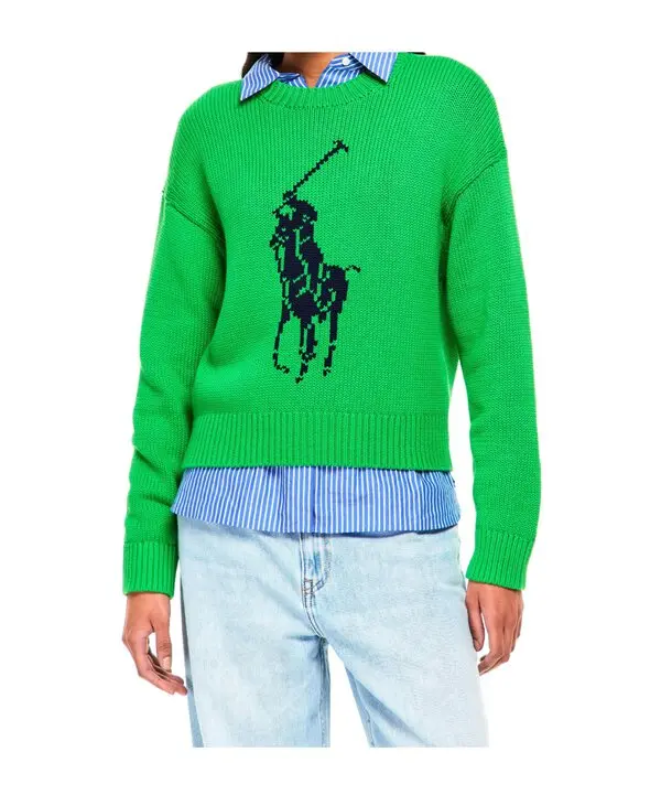 Polo Ralph Lauren Crew Neck Jumper With Graphic Print
