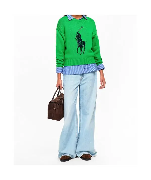 Polo Ralph Lauren Crew Neck Jumper With Graphic Print
