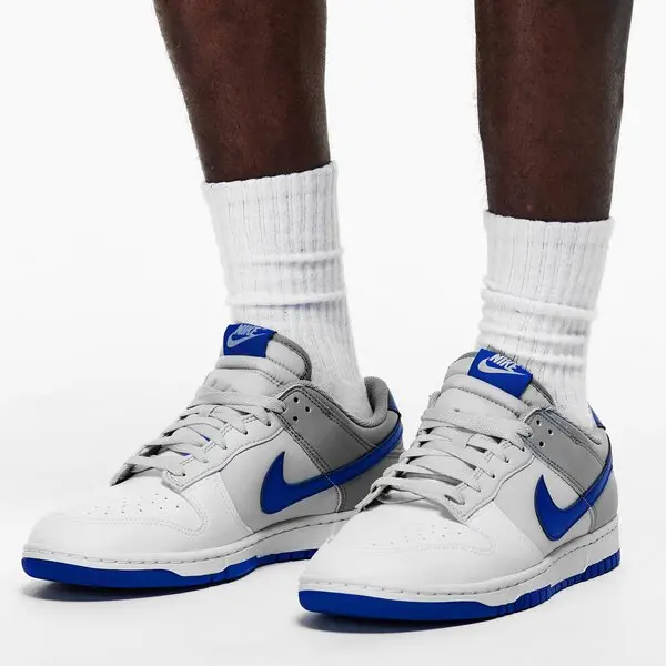 Nike Dunk Low Trainers