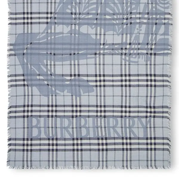 Burberry Plaid Scarf