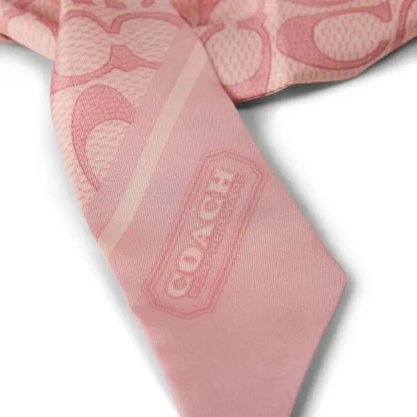 COACH Printed Silk Scarf