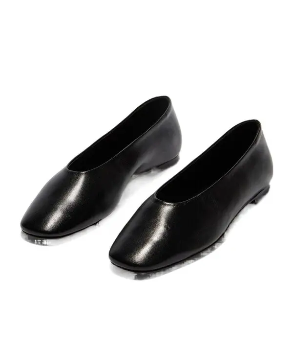 AeydĒ Pointed Toe Flats