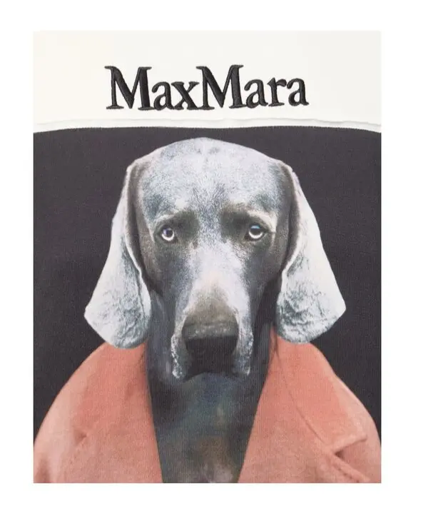 Max Mara Printed Knitted Sweater