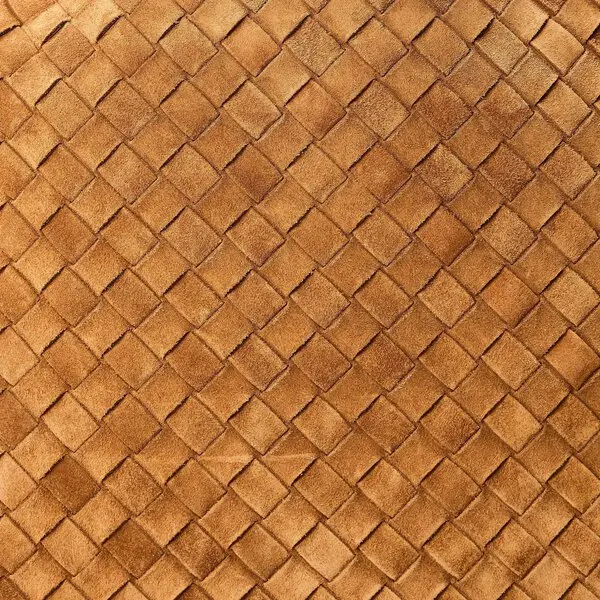 Bottega Veneta Suede Tote Bag