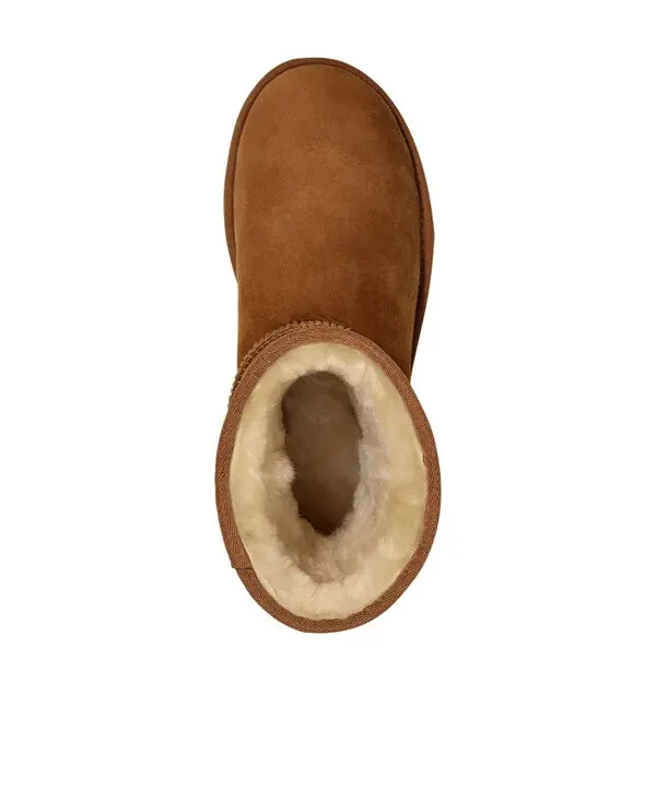 UGG Chestnut Suede Mid-calf Boots