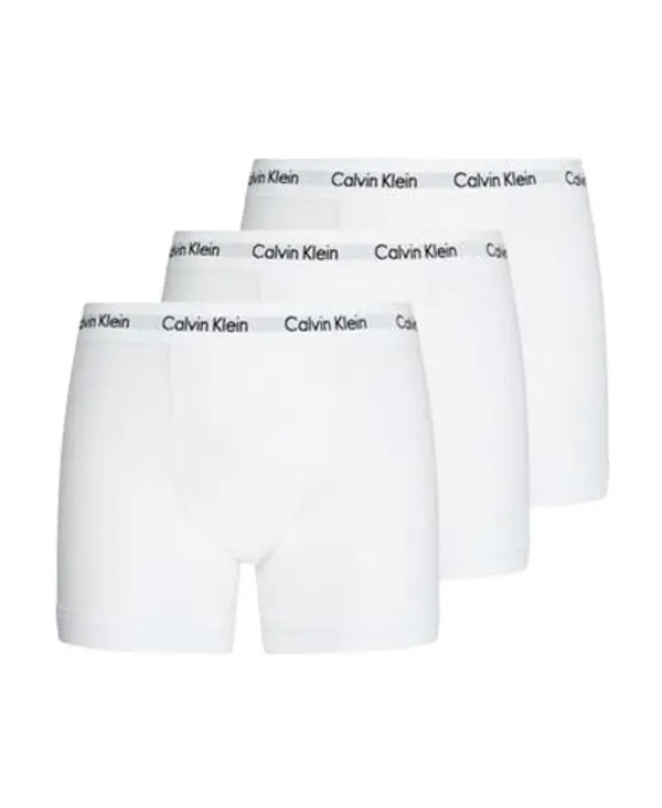 Calvin Klein Logo Underwear