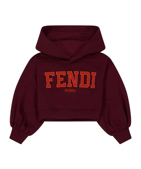 Fendi Printed Logo Hoodie Sweatshirt
