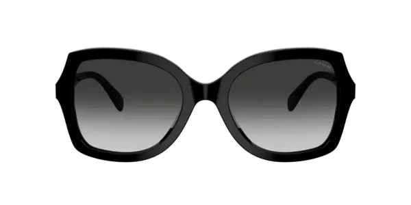 COACH Sunglass Cw225 - Grey Gradient