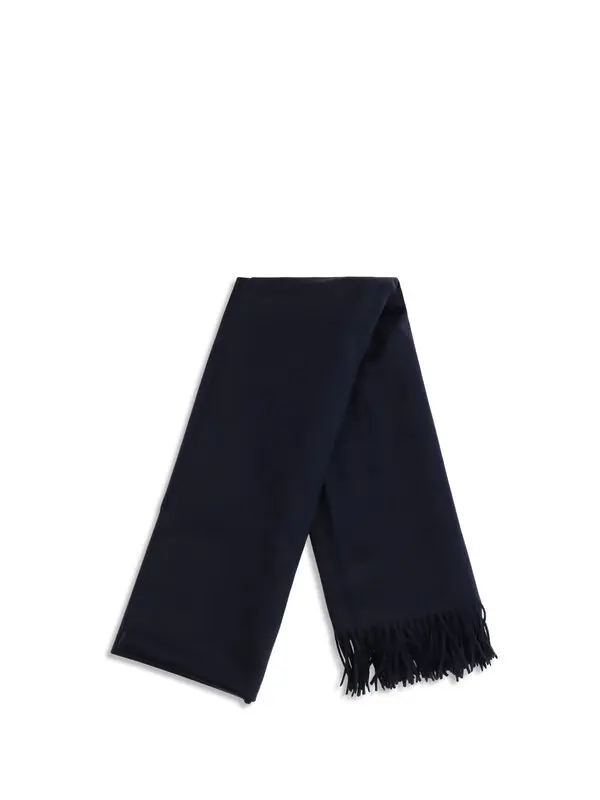 Max Mara Baci Cashmere Scarf - Blue