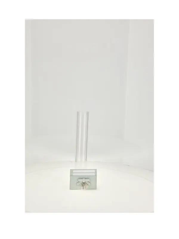 Dior Small Shape - Multicolor