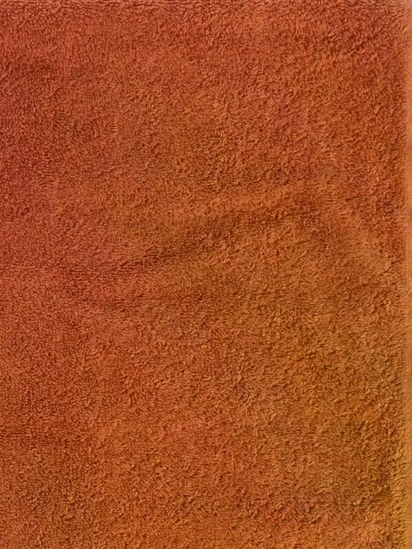 Etro Paisley-print Embroidered-logo Towels Set - Orange