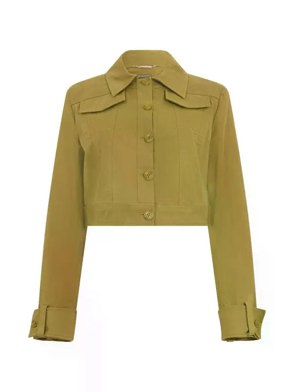 Alberta Ferretti Cropped Button-fastening Jacket