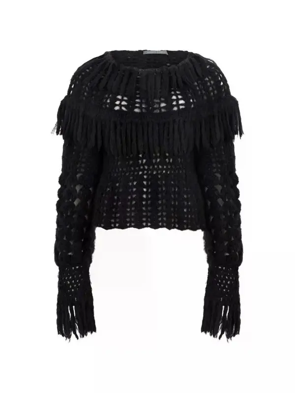 Alberta Ferretti Fringe-detail Open-knit Sweater