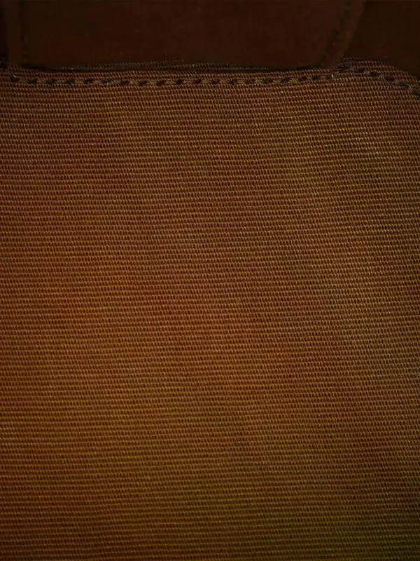 Celine 2023 Mini Triomphe Coated Canvas Vanity Case Satchel