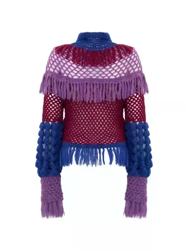 Alberta Ferretti Fringe-trimmed Open-knit Sweater