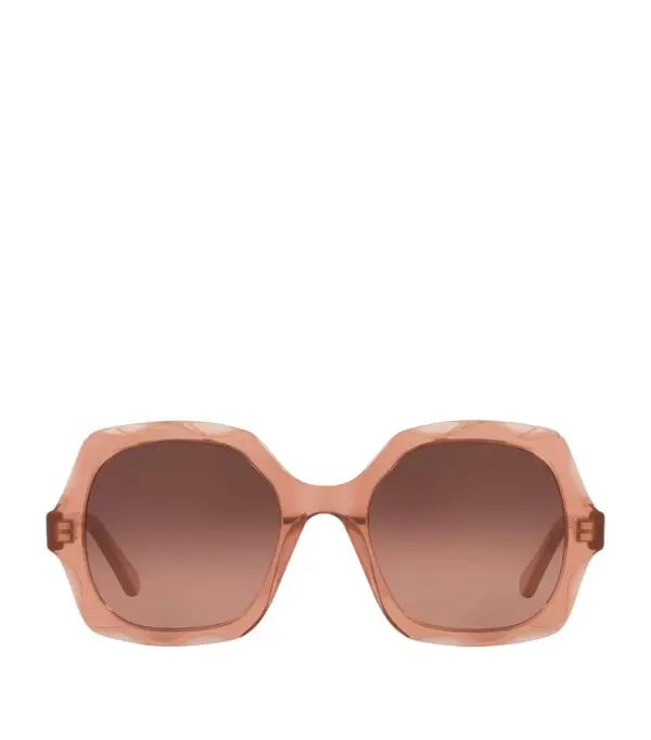 Chloé Acetate Olivia Rectangle Sunglasses